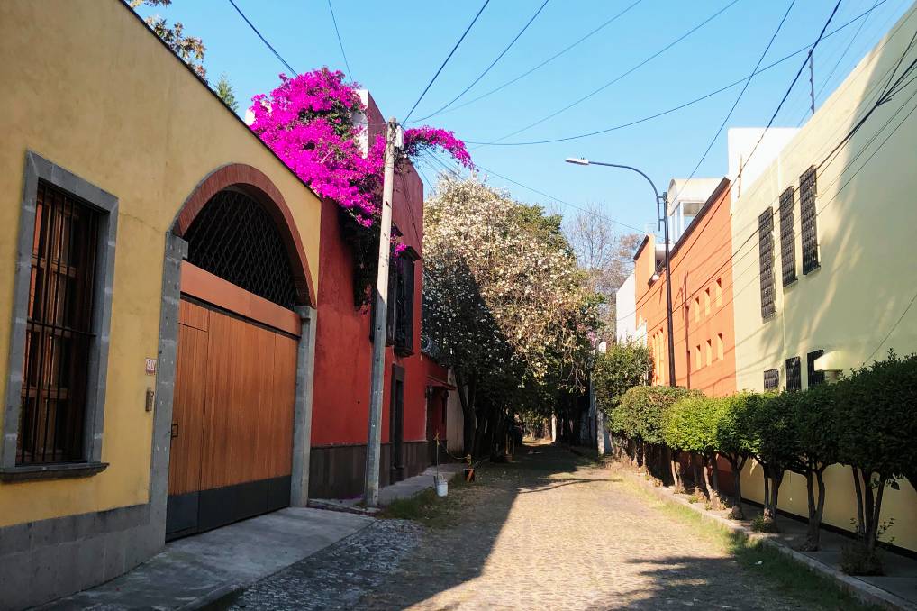 Sopol mobile – Moi, mes souliers ont beaucoup voyagé